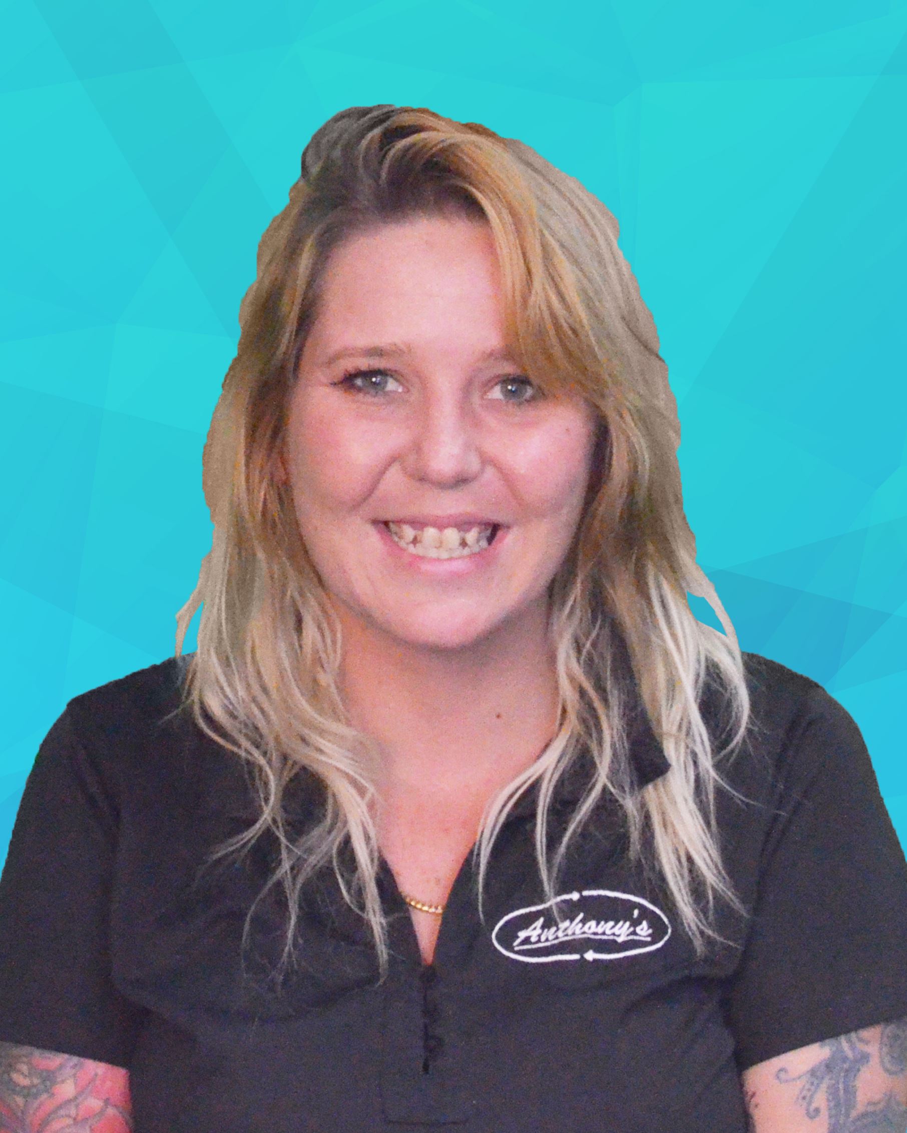 Lillie G Anthonys Cooling Heating Electrical